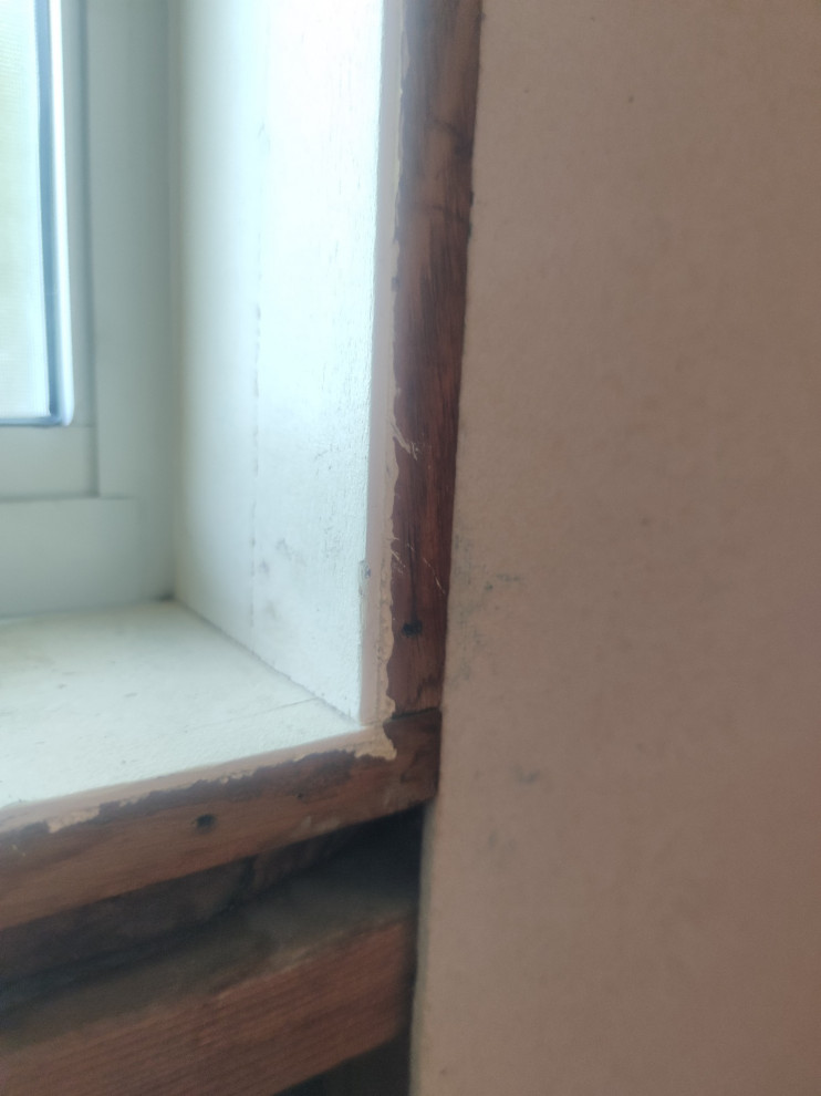 Tiling window reveal | Houzz AU