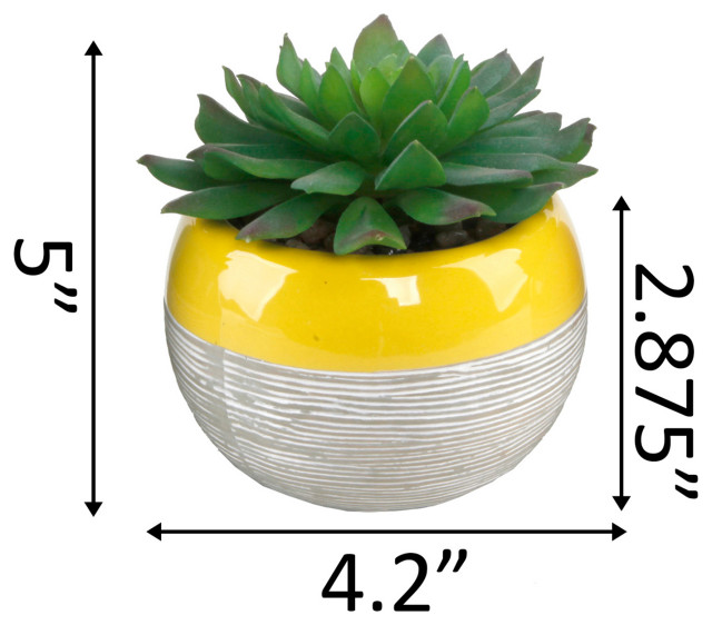 Succulent In Two Tone Lines Pattern Ceramic Pot ,Yellow - Contemporary ...