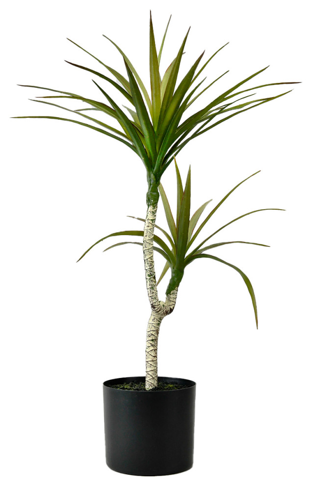 Serene Spaces Living Faux Yucca Tree in Black Plastic Pot, 28" Tall ...