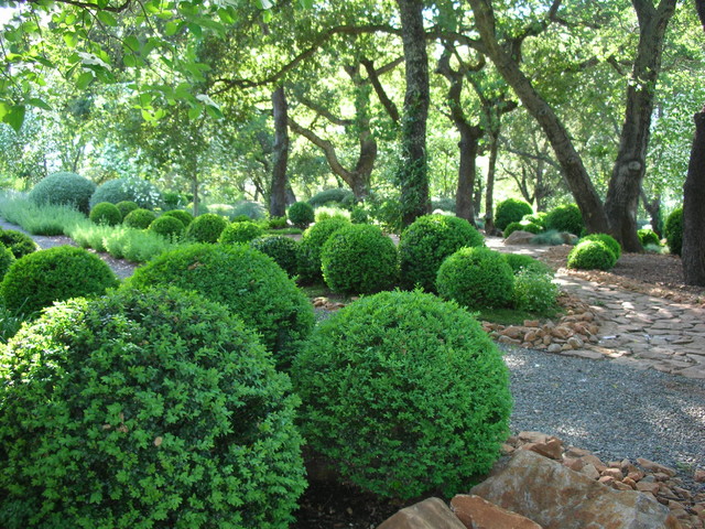 Topiaries Carve a Place Indoors and Out