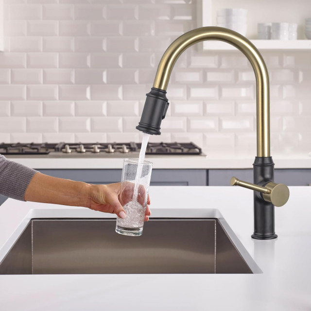 Elegant Kitchen Faucet, One Handle & 2 Mode Pull Down Sprayer ...