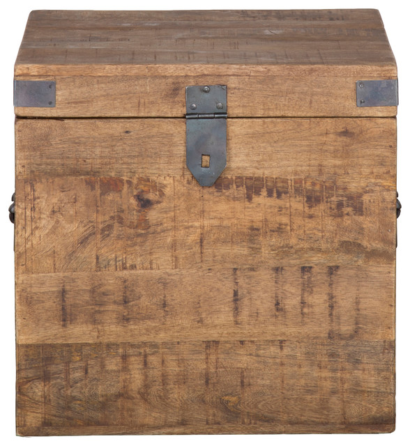 Livingston 18 inch Square Trunk by Kosas Home - Transitional ...
