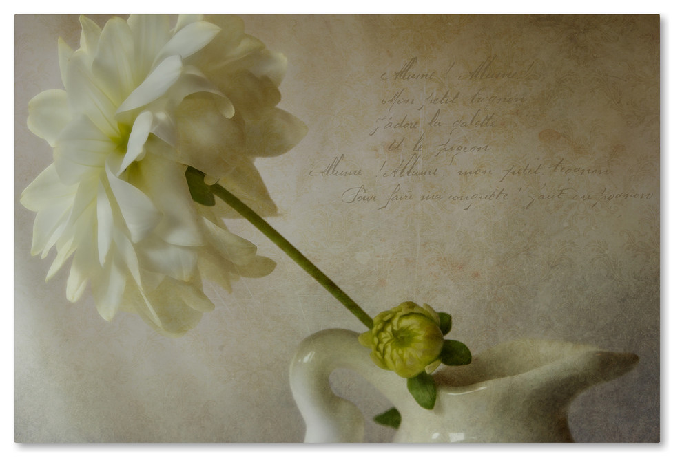 Bob Rouse 'White In White' Canvas Art, 22"x32" - Contemporary - Prints ...