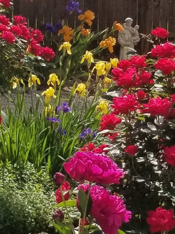 How to Transition Your Spring Garden Borders Into Summer