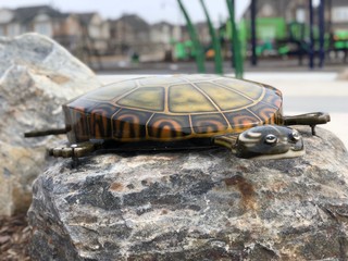 GREG BASKIN - Project Photos & Reviews - Richmond hill, CA | Houzz