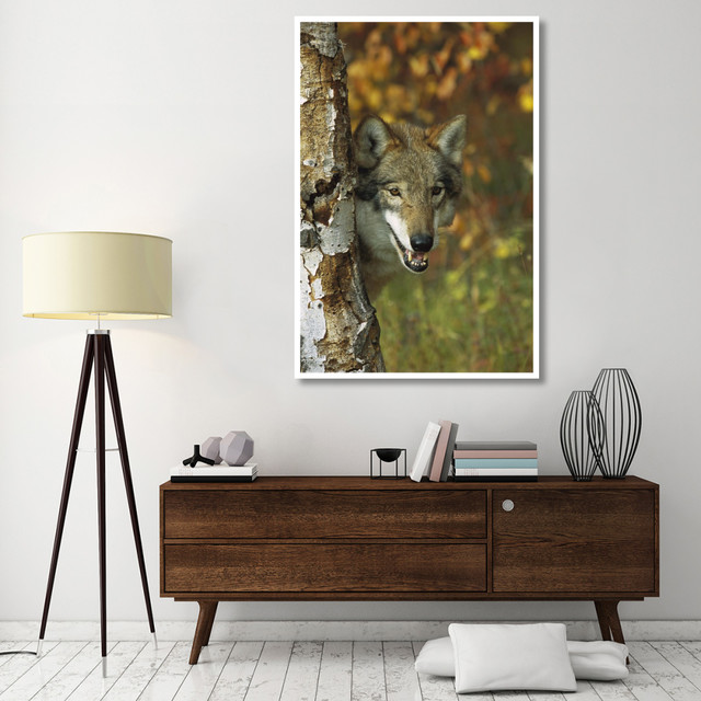 "Timber Wolf peering out from behind tree, Teton Valley" Paper Art, 14 ...