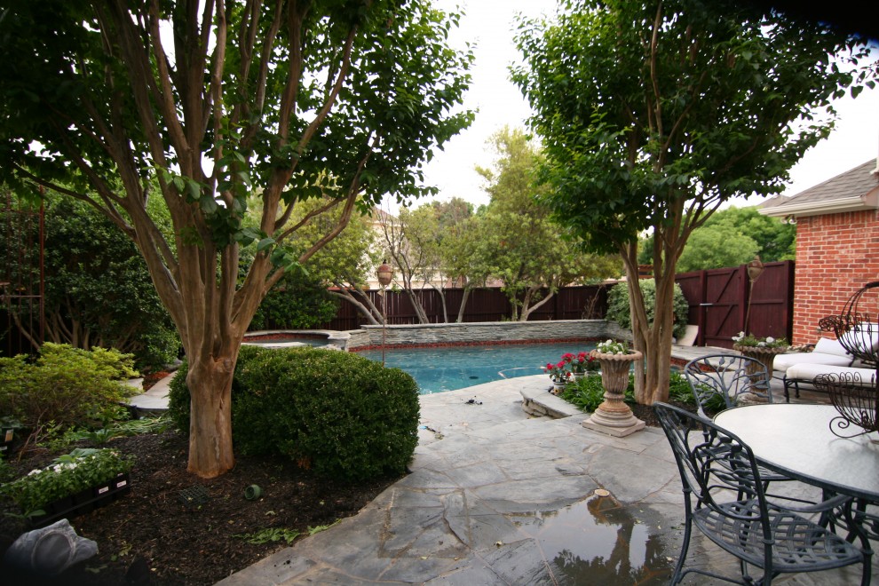 Need help with landscaping behind pool for privacy