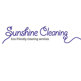 SUNSHINE CLEANING LLC - Project Photos & Reviews - Minneapolis, MN US ...