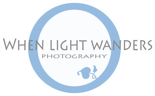 WHEN LIGHT WANDERS PHOTOGRAPHY - Project Photos & Reviews - Muse, PA US ...