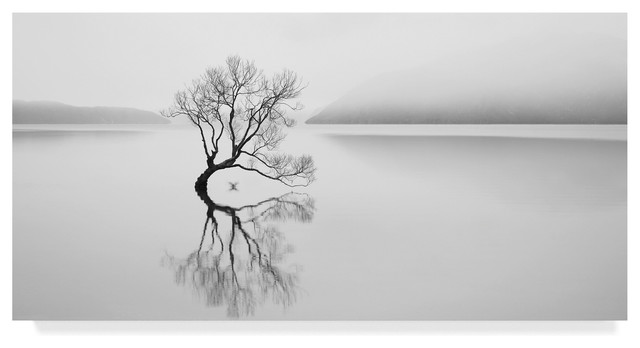 Neville Jones 'Serenity' Canvas Art, 47"x24" - Contemporary - Prints ...