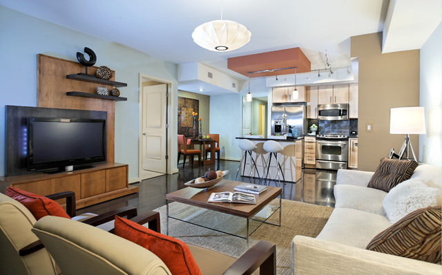 City Apartment - Metro Living - Contemporary - Living Room - DC Metro ...