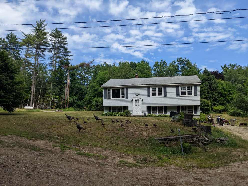 New England raised ranch exterior color & improvement recommendations?