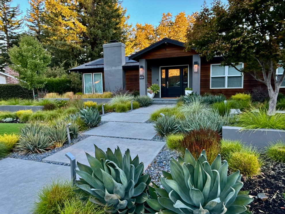 Alamo Modern Low Water Front Yard - Modern - Garden - San Francisco ...