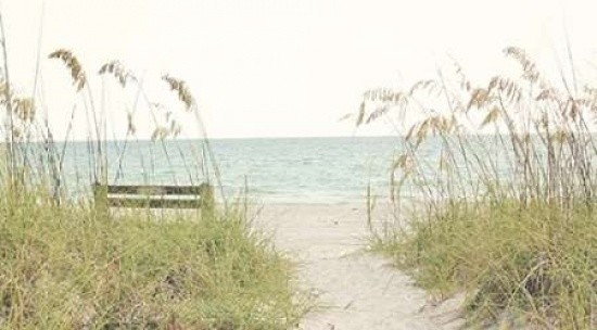 Sandy Path Poster Print by Gail Peck - Item # VARPDX11105L, 36 x 24 ...