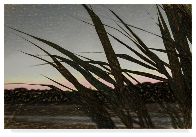 "Giant Reeds" by Anthony Paladino, Canvas Art, 16"x24" - Contemporary ...