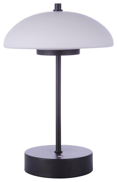 Rechargable Portable LED Table Lamp, Flat Black - Transitional ...