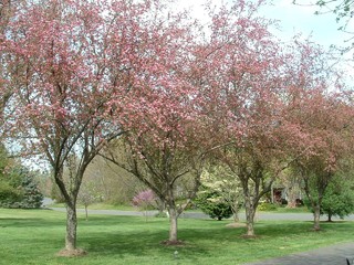 ARROW ENTERPRISE, INC. - Project Photos & Reviews - Nokesville, VA US ...