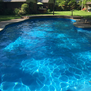 NEW WAVE CUSTOM POOLS - Project Photos & Reviews - Toney, AL US | Houzz