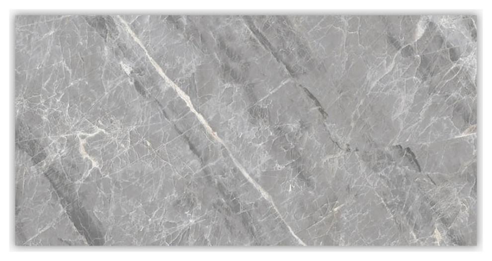 Nambia Grey Matte 12x24 Porcelain Tile, 12x24 - Contemporary - Wall And ...