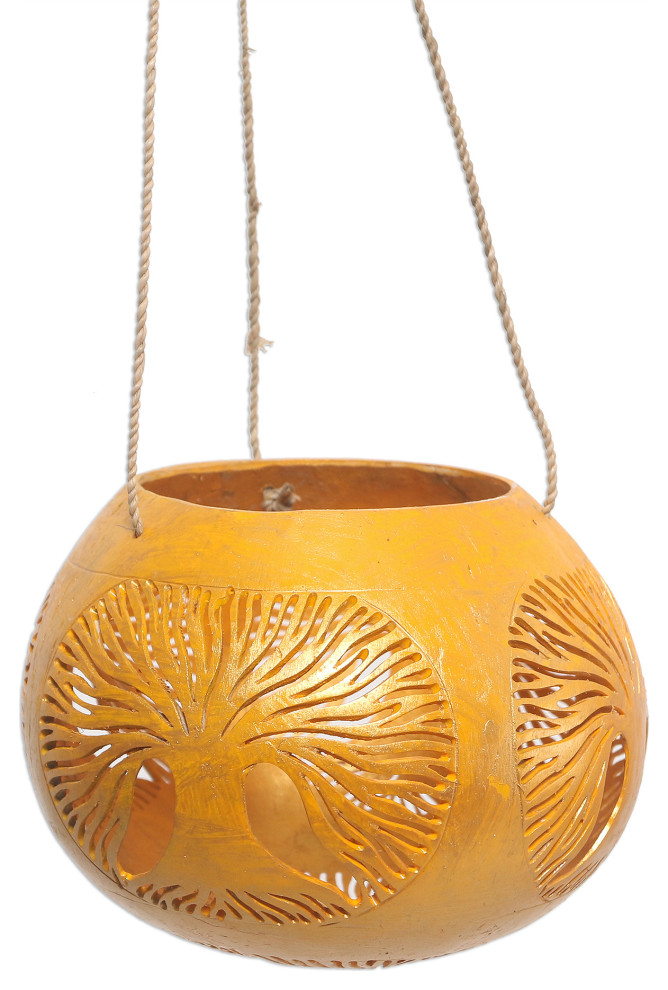 Novica Handmade Trees Of Gold Coconut Shell Planter - Tropical - Indoor ...