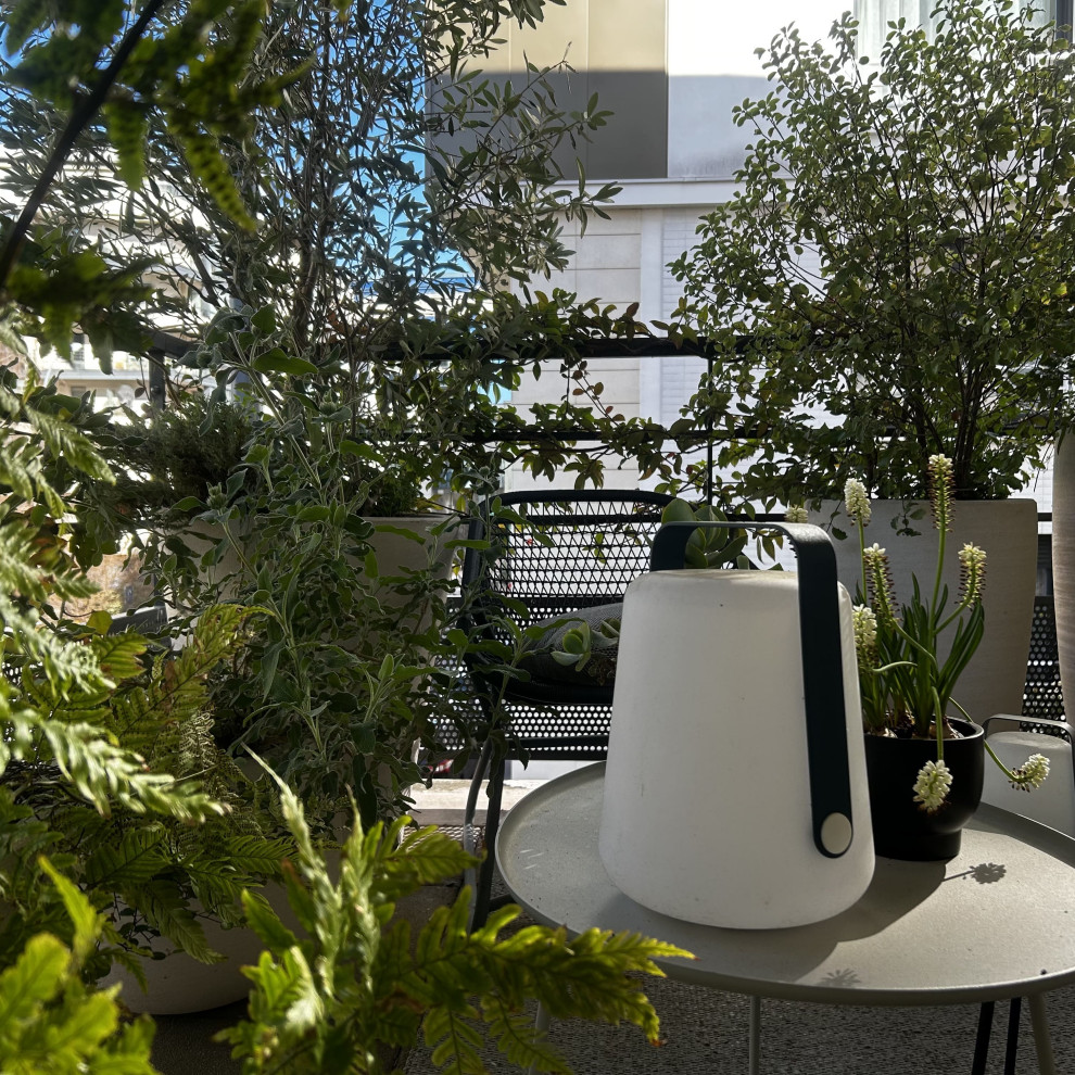 Issy-les-Moulineaux - Aménagement paysager d'une mini-terrasse ...