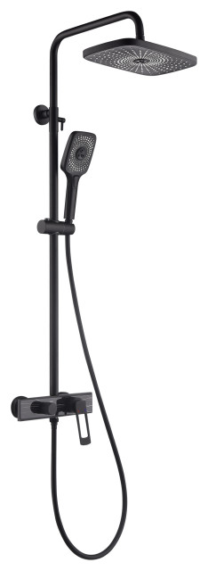Dual Handle Shower System With Multi-Function Hand Shower ...