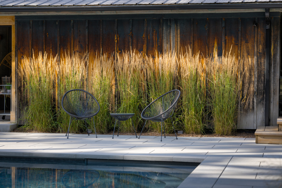 Bohemian Hideaway - Rustic - Toronto - by Wentworth Landscapes | Houzz