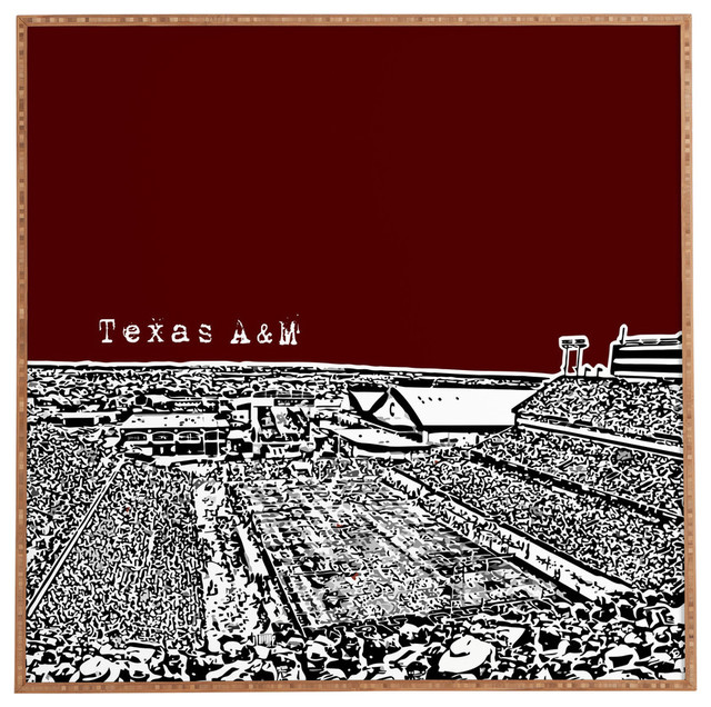 Deny Designs Bird Ave Texas A And M Maroon Framed Wall Art, 20x20x1 ...
