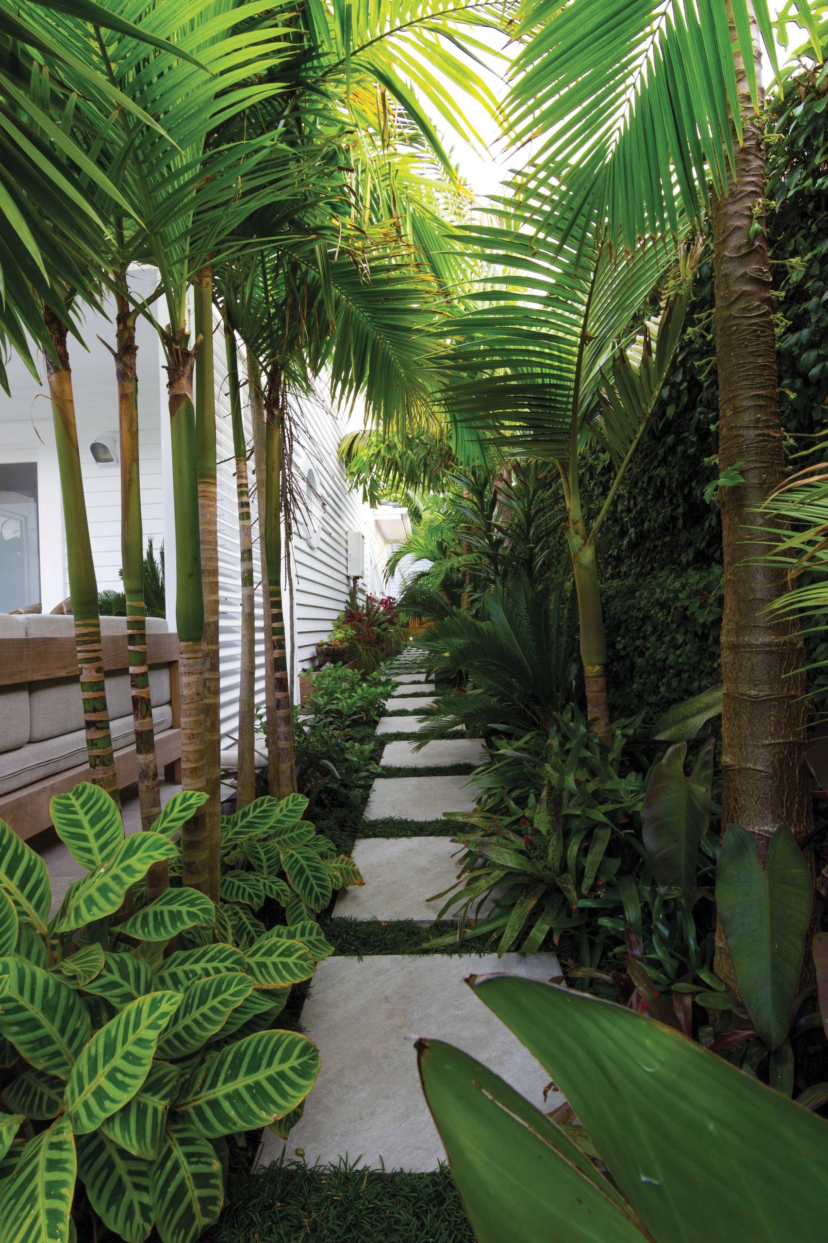 Small Plants For Side Walkway 7 Fundamentals Of Choosing Plants For