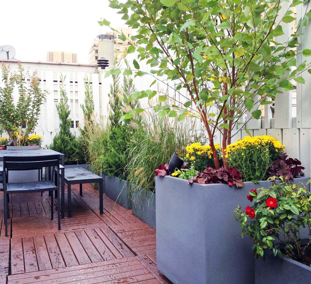 Upper West Side, NYC Roof Garden: Terrace Deck, Fence, Container Plants ...