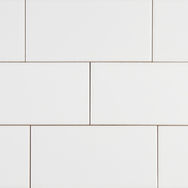 MSI NGLO3X6 6" x 3" Rectangle Wall Tile - Polished Smooth Visual ...