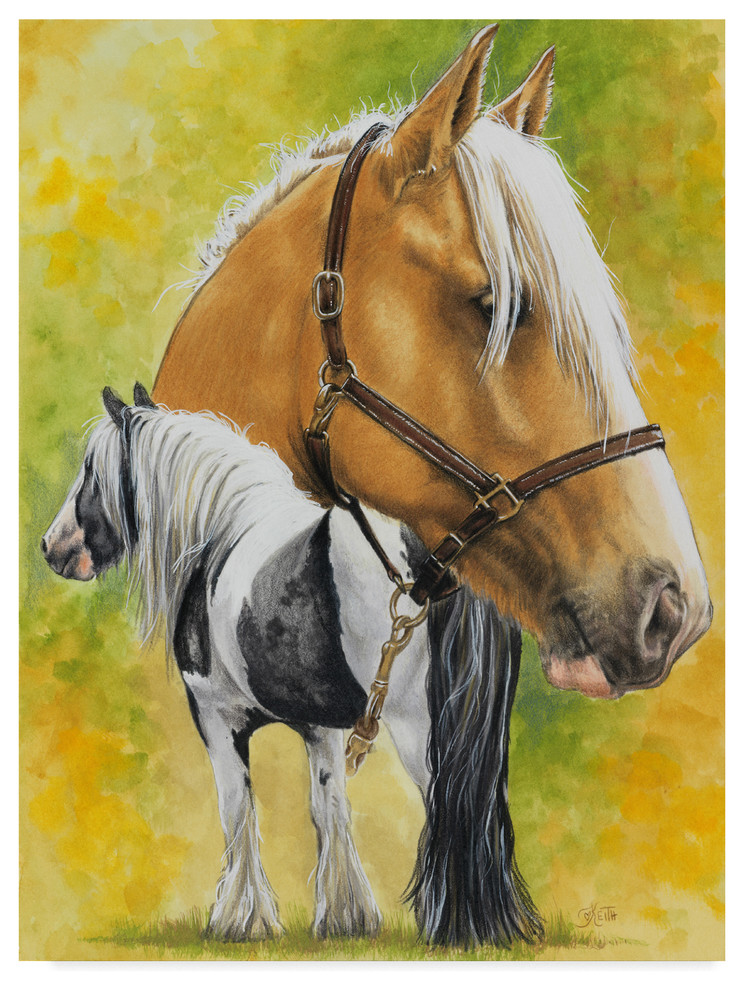 "Irish Cob" by Barbara Keith, Canvas Art, 32"x24" - Contemporary ...