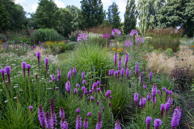 Garden Tour: A Dutch Masterpiece Brings Year-Round Enchantment