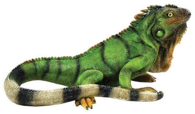 Michael Carr Iguana Medium Resin Figure for Gardens - Contemporary - Garden Statues And Yard Art ...