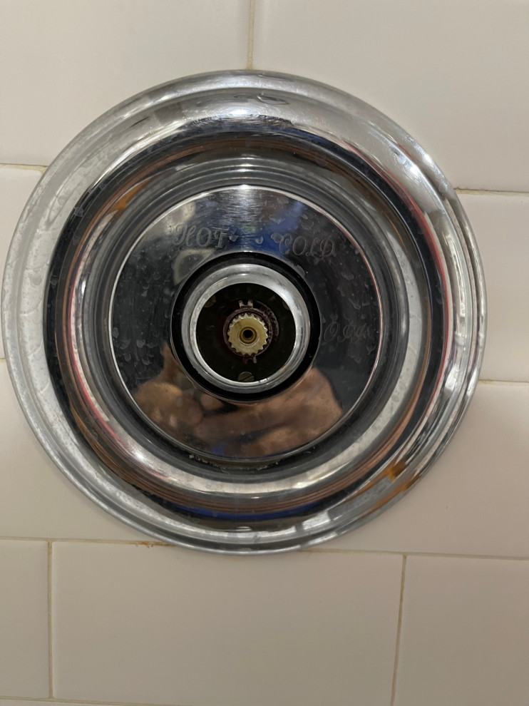 Broken shower handle (struggling to replace)