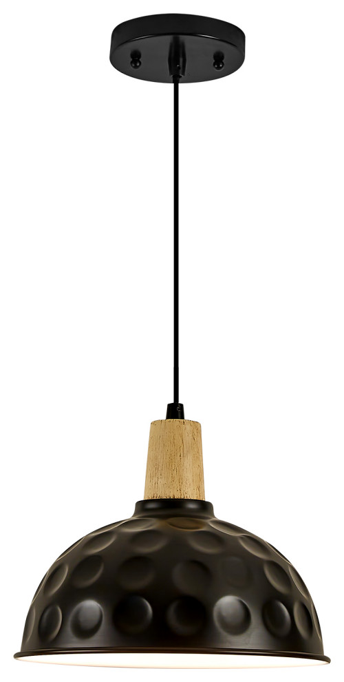 Single Dome Pendent Light - Contemporary - Pendant Lighting - by ...