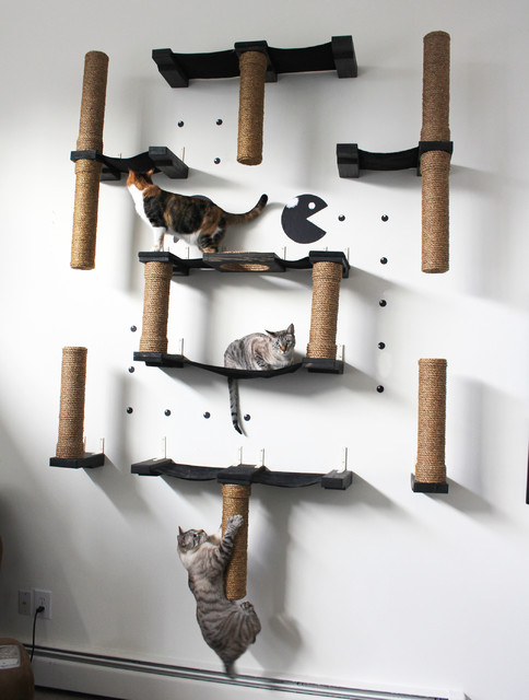 How to Design Your House Around Your Pet