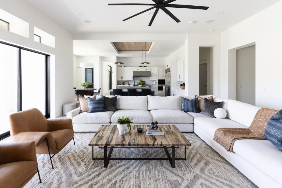 Raven Way Project - Modern - Living Room - Phoenix - by Lace and Grace ...