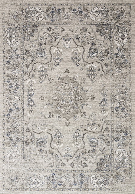 Loloi Joaquin Joa-02 Vintage and Distressed Rug, Dove and Gray, 5'3"x7 ...