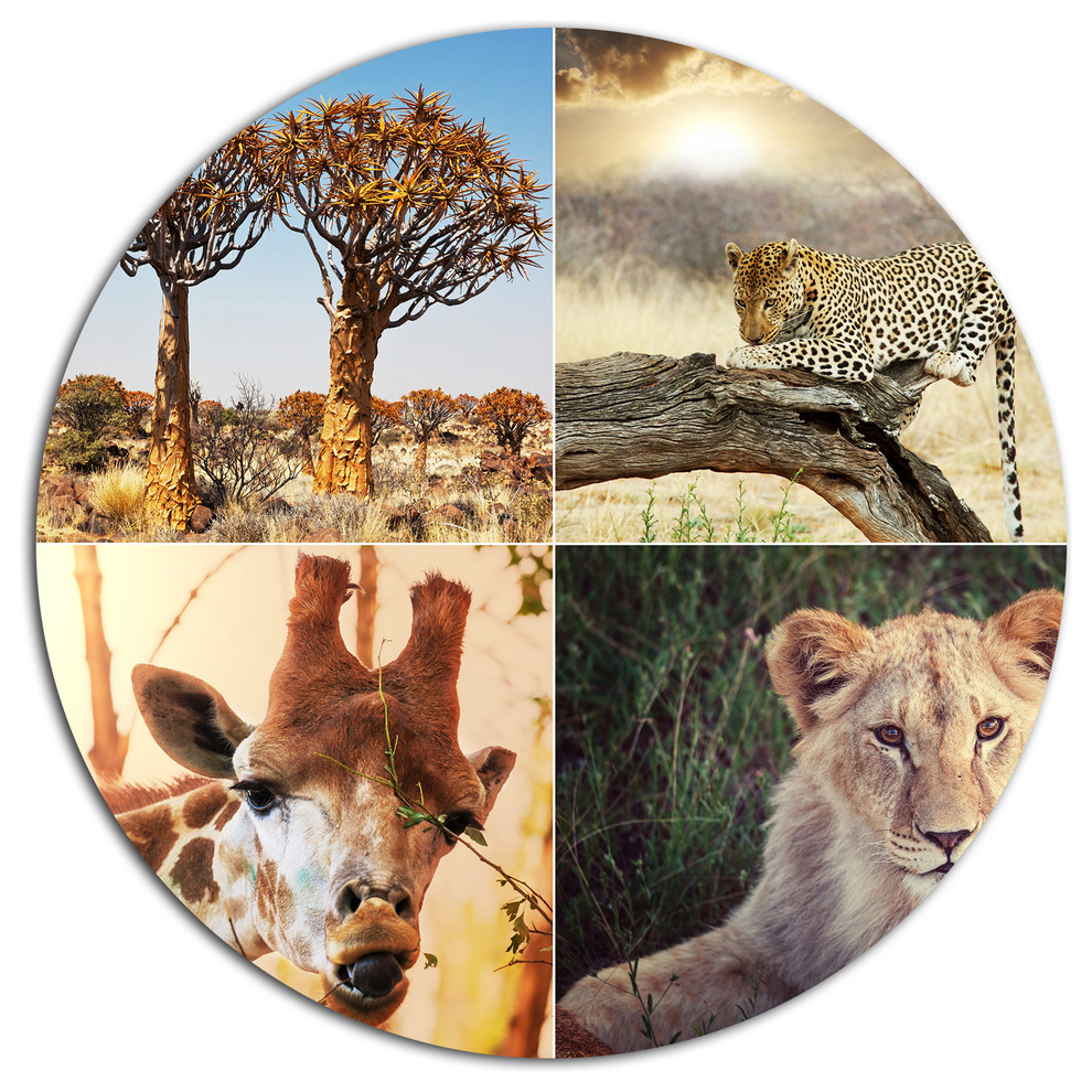 African Safari Wildlife Collage, African Landscape Round Artwork, Disc ...