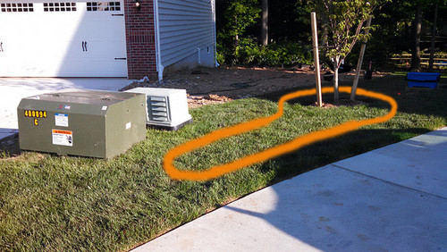 Hide Green Utility Boxes