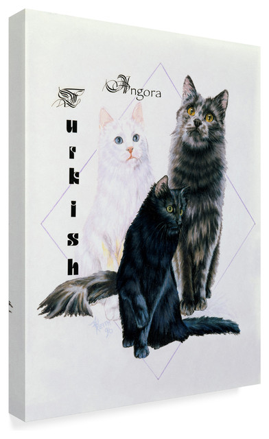 "Turkish Angora" by Barbara Keith, Canvas Art, 47"x35" - Contemporary ...