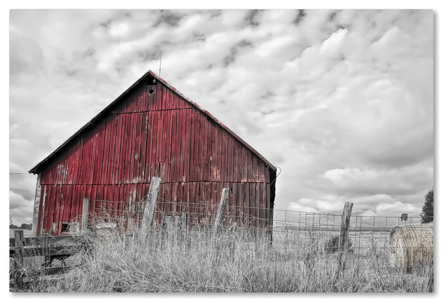 Bob Rouse 'Painter Barn Bw' Canvas Art, 30"x47" - Farmhouse - Prints ...