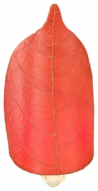 Leaf Night Light - Contemporary - Night-lights - by Eangee | Houzz