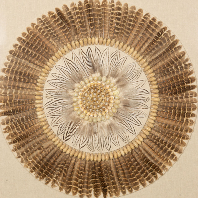 Feather & Shell Wreath Shadow Box Wall Décor - Contemporary - Wall ...