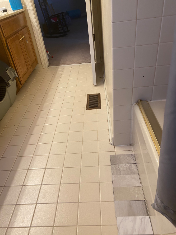 Advice on color scheme in Almond bath tile guest bathroom