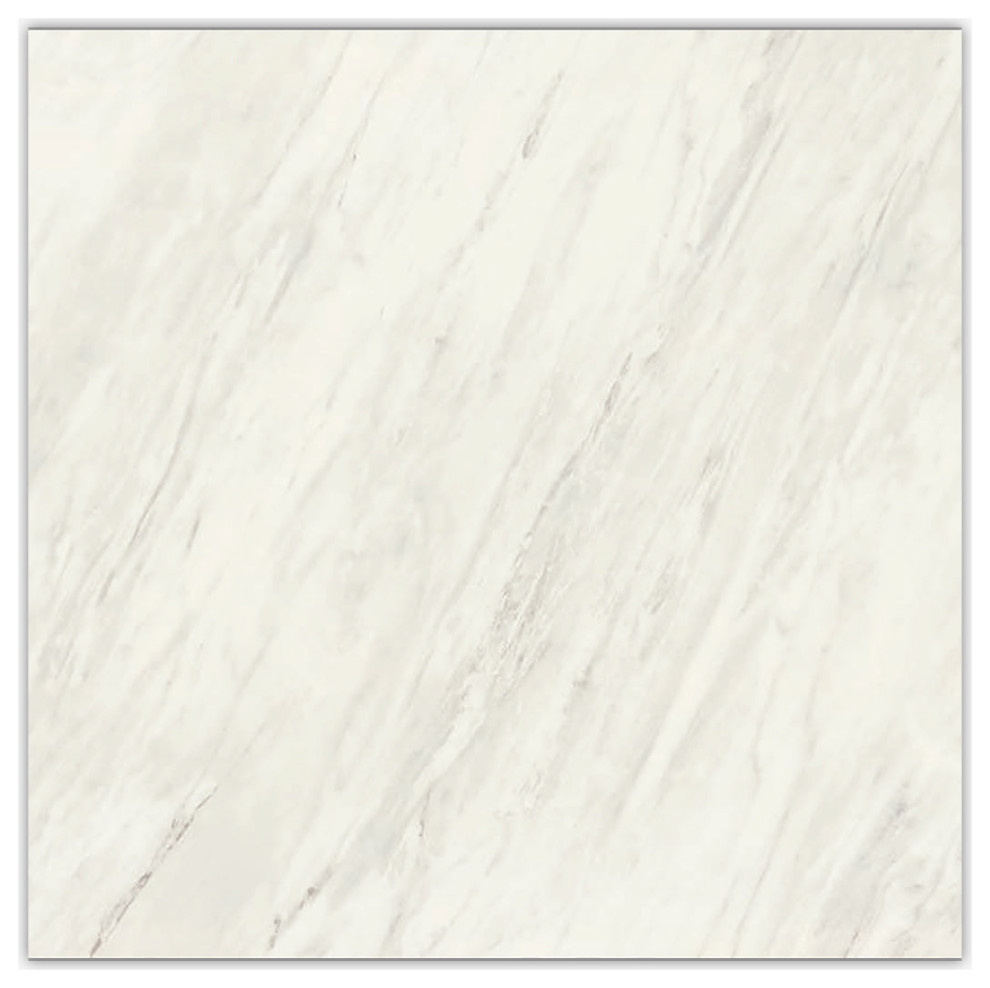 Eterno Siro Matte 24x24 Porcelain Tile, 24x24 - Contemporary - Wall And ...