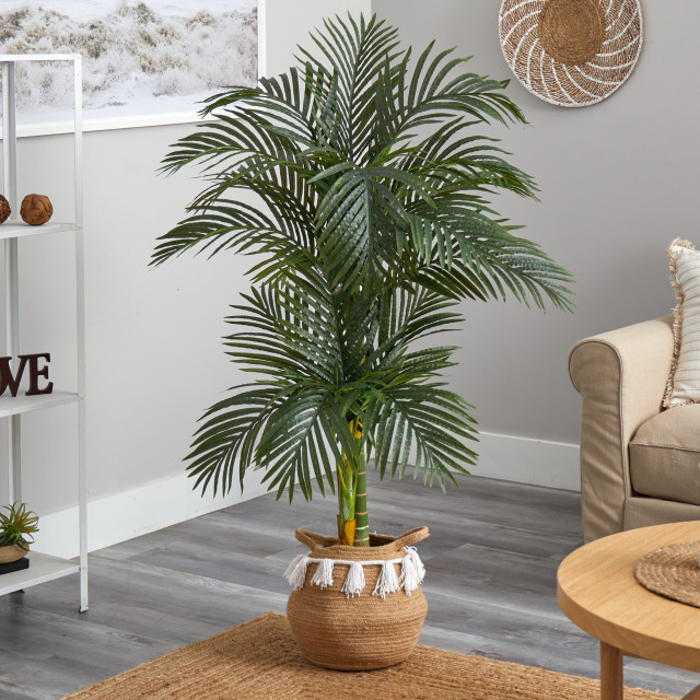 5ft. Artificial Double Stalk Golden Cane Palm Tree With Handmade Basket ...