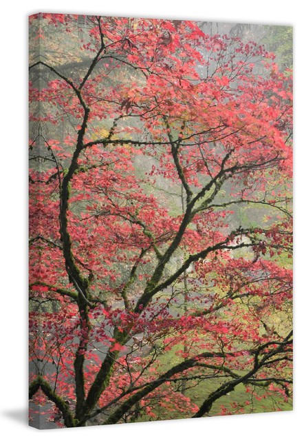 "Red Zen" Painting Print on Canvas, 16"x24" - Traditional - Prints And ...