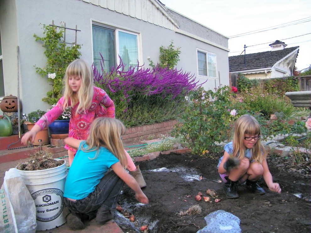 How to Plant Bulbs | Houzz